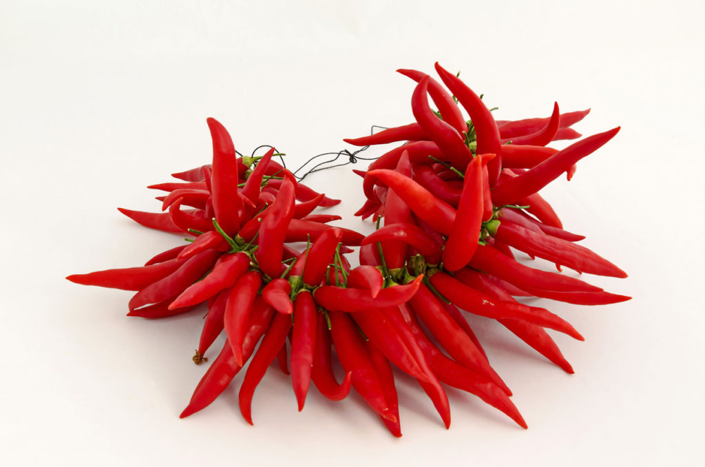 Peperoni ernten - Die besten Tipps