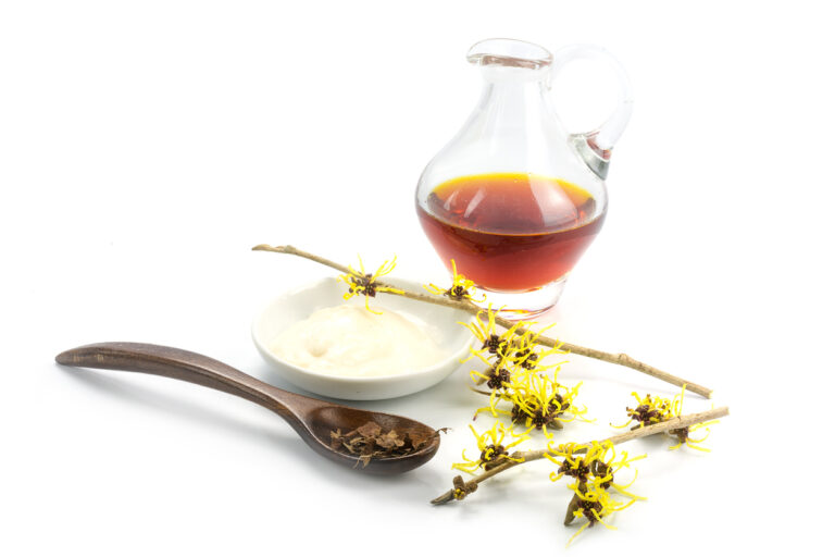 Witch Hazel Fruit: Uses and Practical Tips