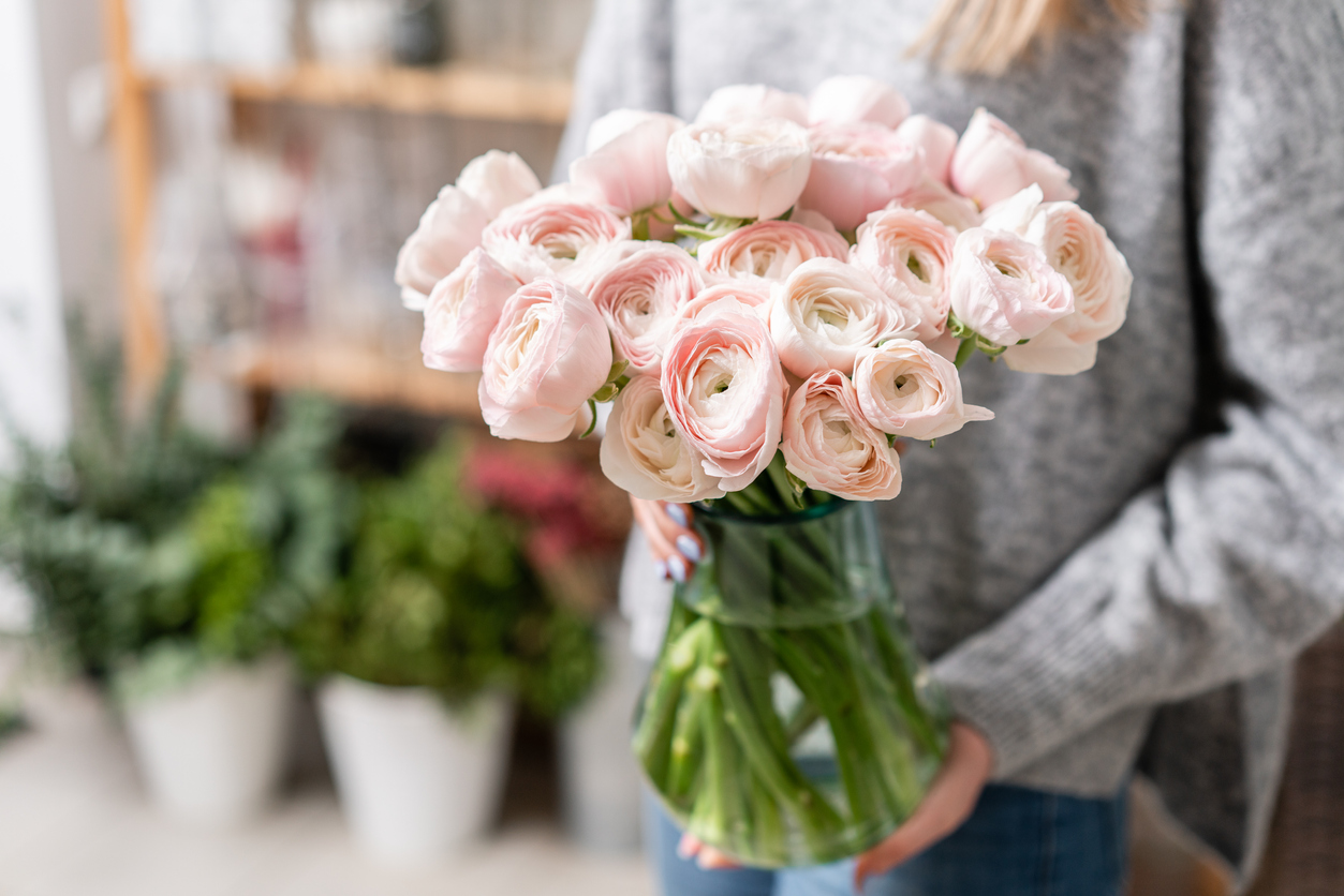 Blütezeit der Ranunkel - Wann beginnt und endet sie?