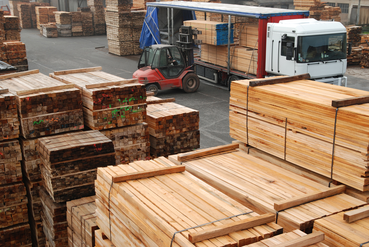 Verwendung der Buche - Nutzen von Holz, Blättern und mehr