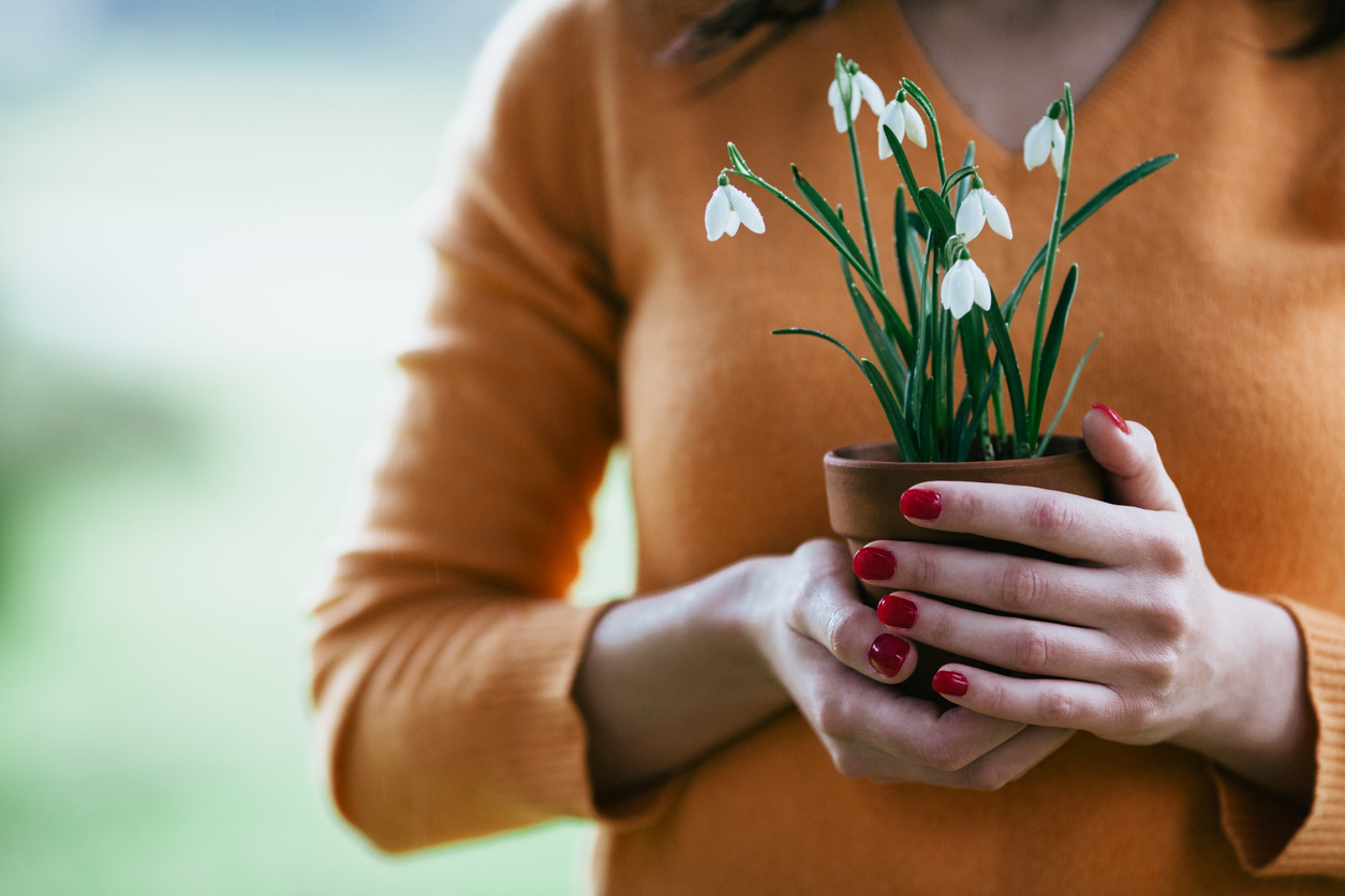 Schneeglöckchen im Topf - Tipps zur Kultivierung