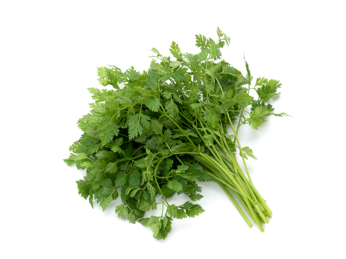 Kerbel einfrieren - Tipps und Kurzanleitung