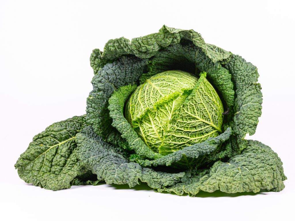 Die 7 beliebtesten Kohlsorten