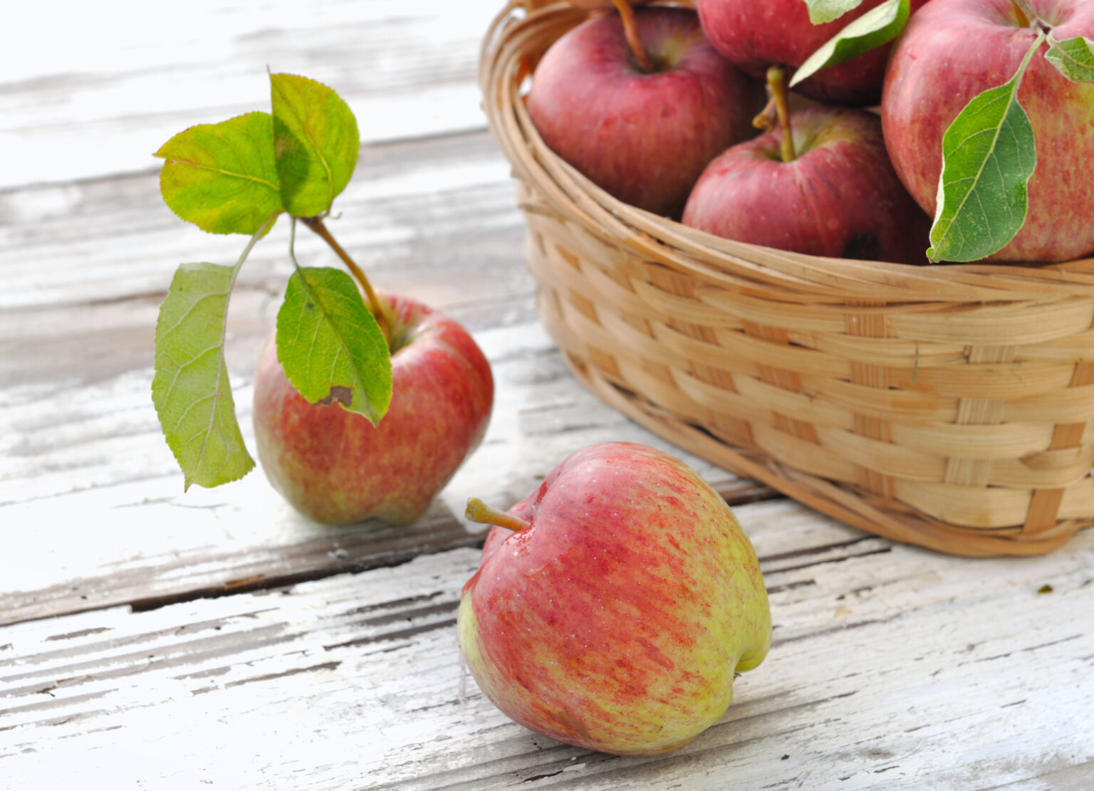 Die 7 beliebtesten robusten Apfelsorten
